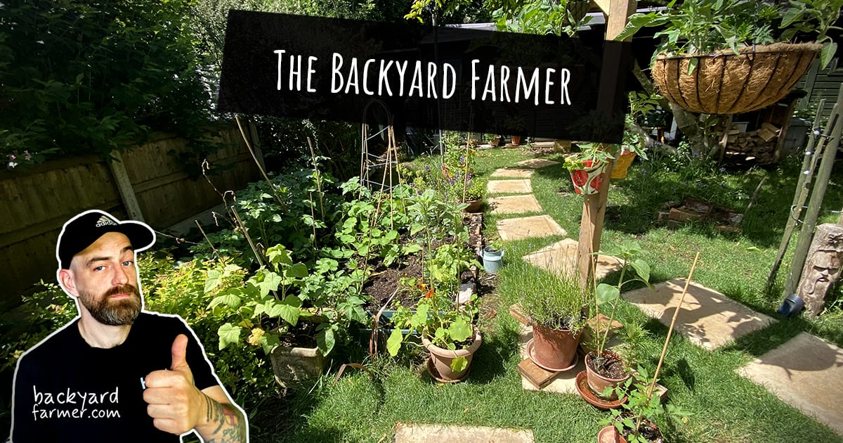 Backyard Farming: Growing Food at Home in the UK