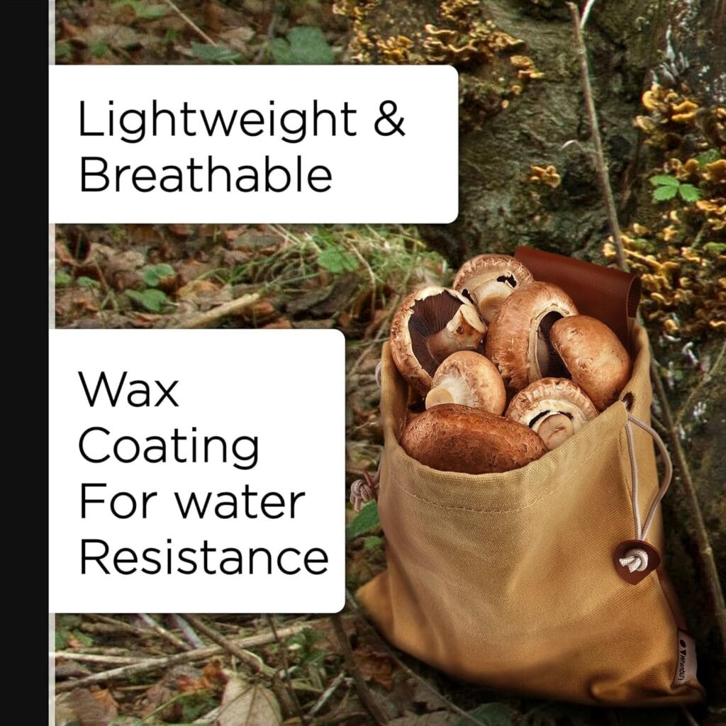 Foraging for Beginners in the UK: A Comprehensive Guide