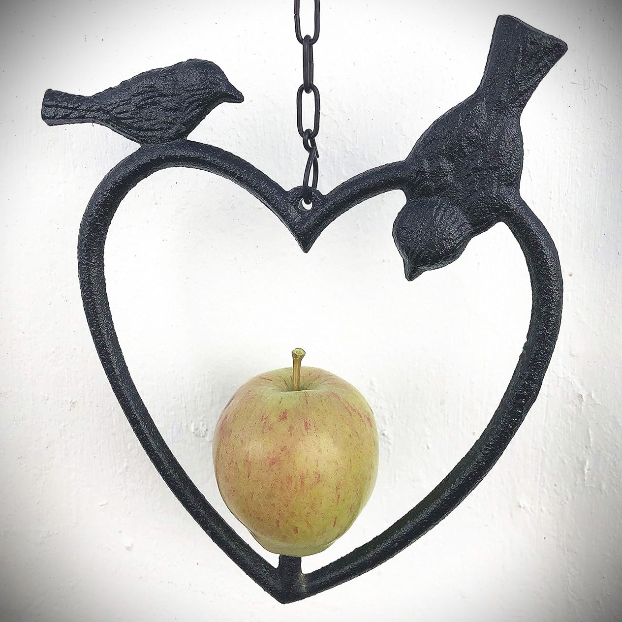 Can Birds Eat Apples? Tips for Feeding Garden Birds in the UK