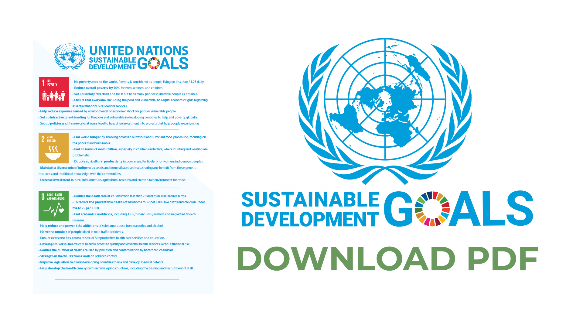 17 Sustainable Development Goals