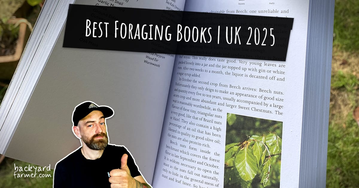 Best Foraging Books UK for 2026 | By a Forager