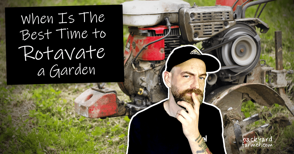 Best Time to Rotavate a Garden (Complete Guide)