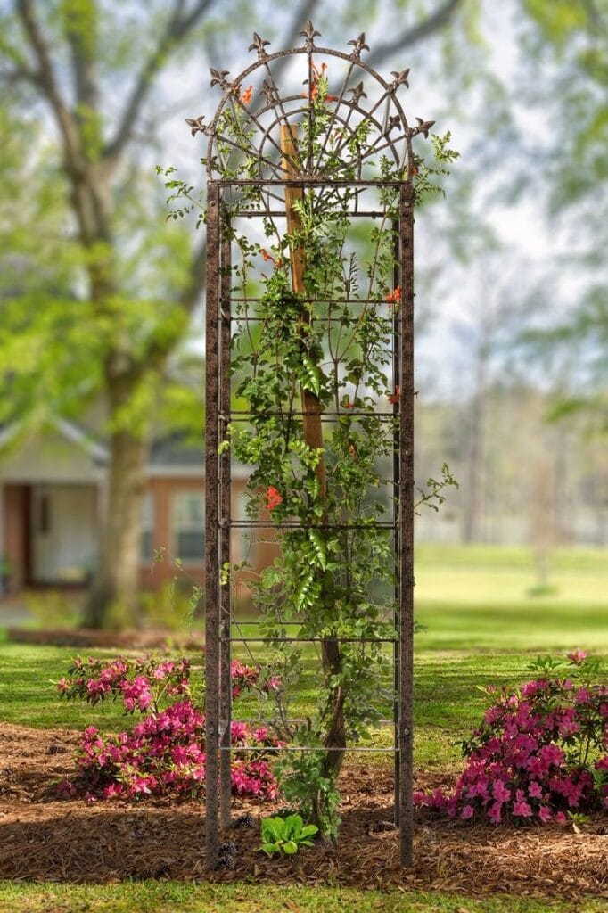 Transforming Your Garden with Obelisks: Tips and Techniques