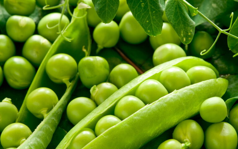 How to Grow Peas: A Complete Guide for Every Gardener