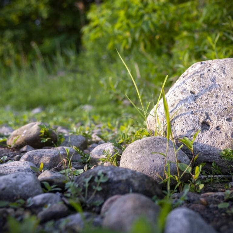 When is the best time to Rotavate a garden?