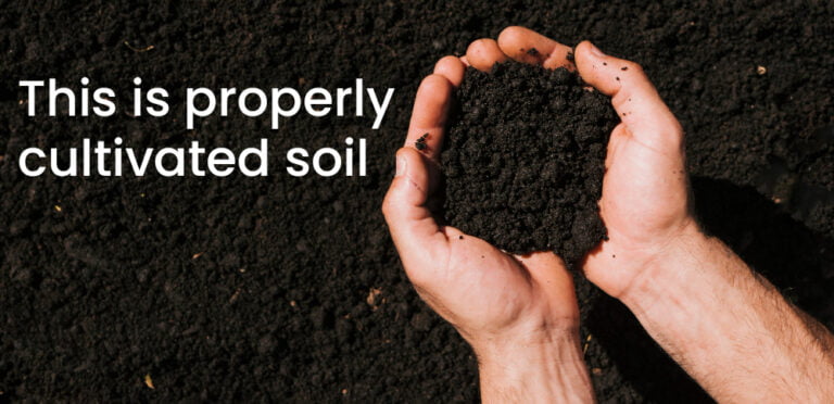 When is the best time to Rotavate a garden? - The Backyard Farmer