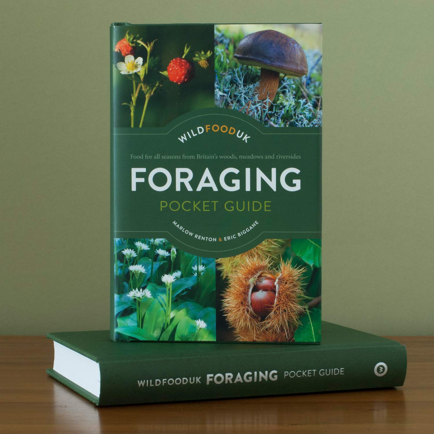 Best Foraging Books UK for 2025 - The Backyard Farmer
