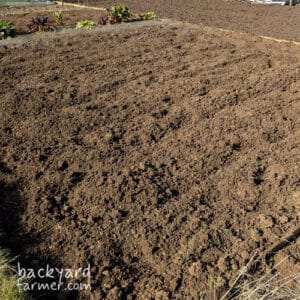 Best Time to Rotavate a Garden (Complete Guide)