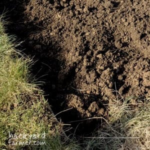 Best Time to Rotavate a Garden (Complete Guide)