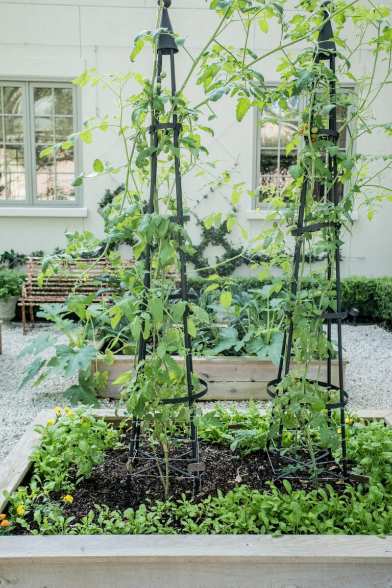 Transforming Your Garden with Obelisks: Tips and Techniques