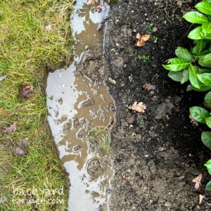 Best Time to Rotavate a Garden (Complete Guide)