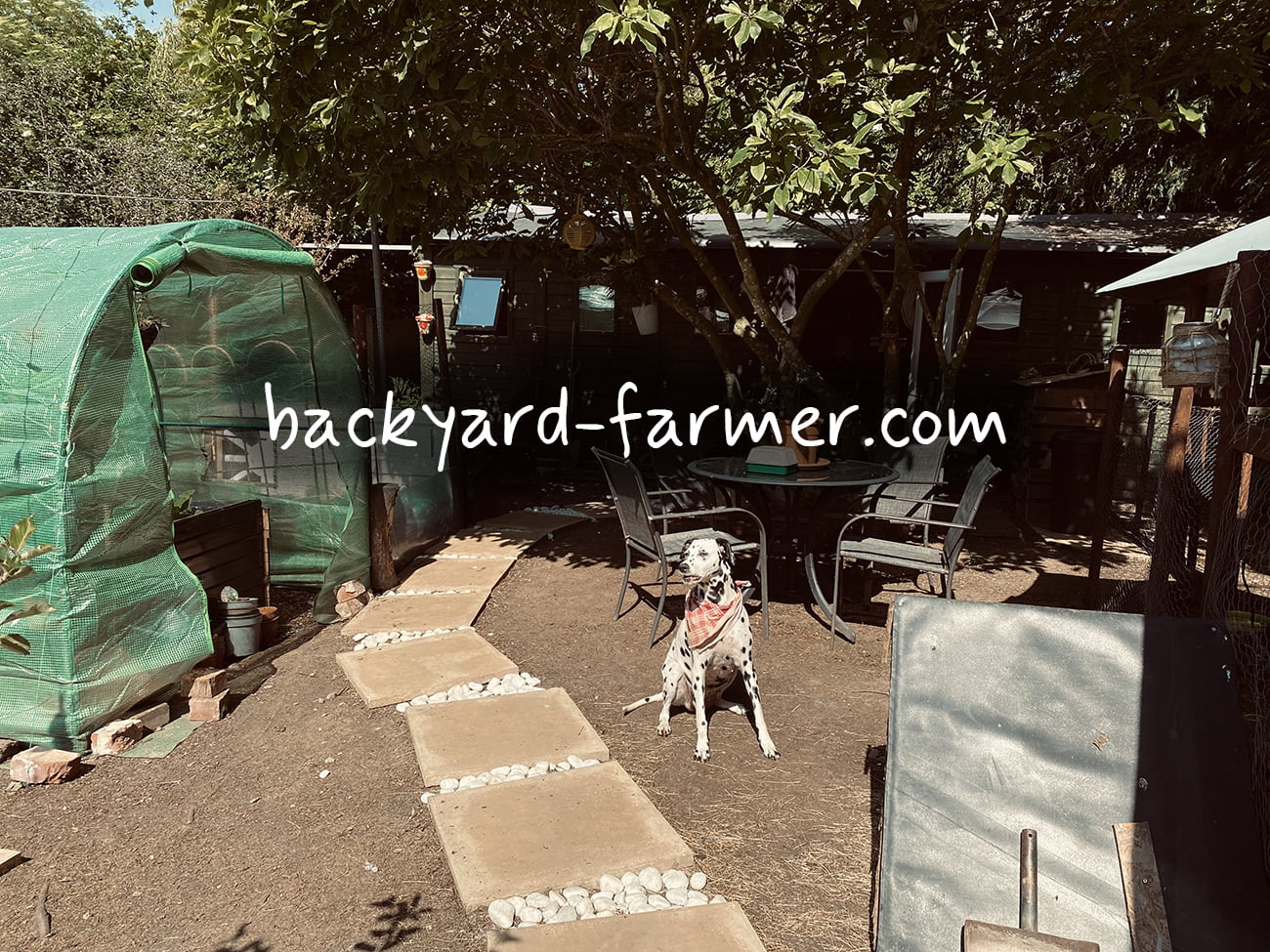 The Backyard Farmer | DIY Gardening & Sustainable Living UK