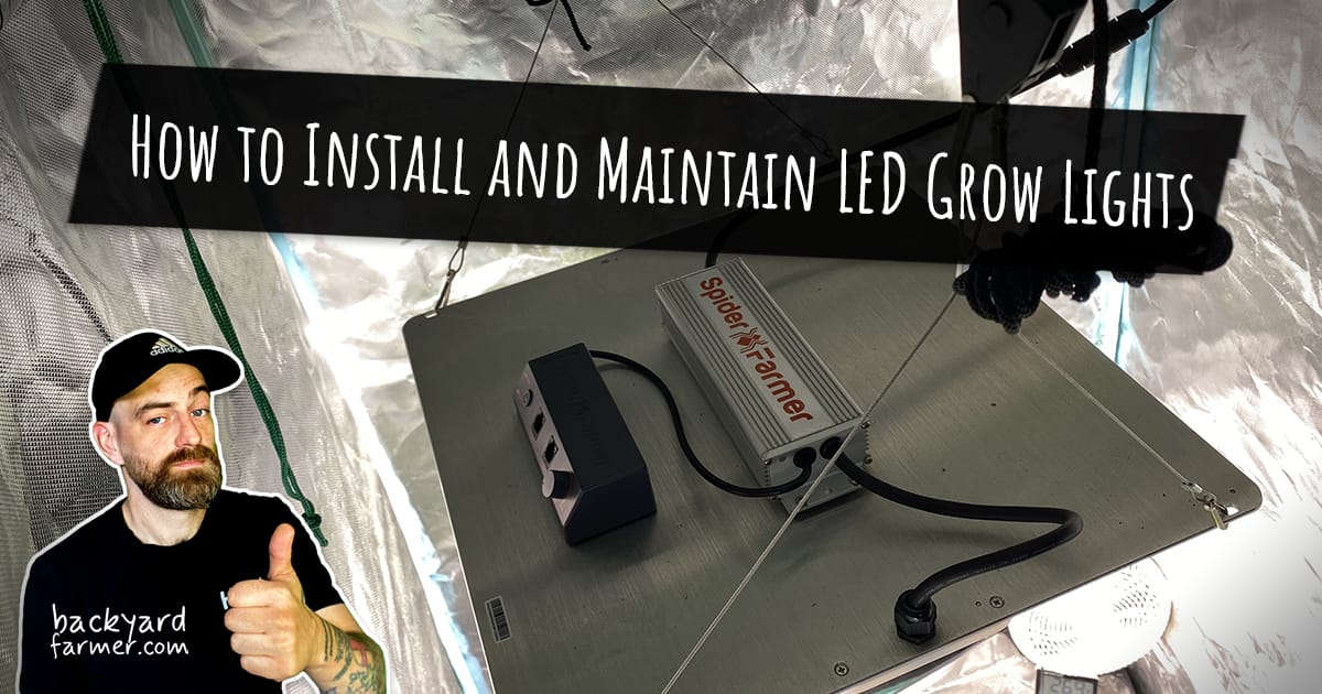 Installing LED Grow Lights: A Comprehensive Guide