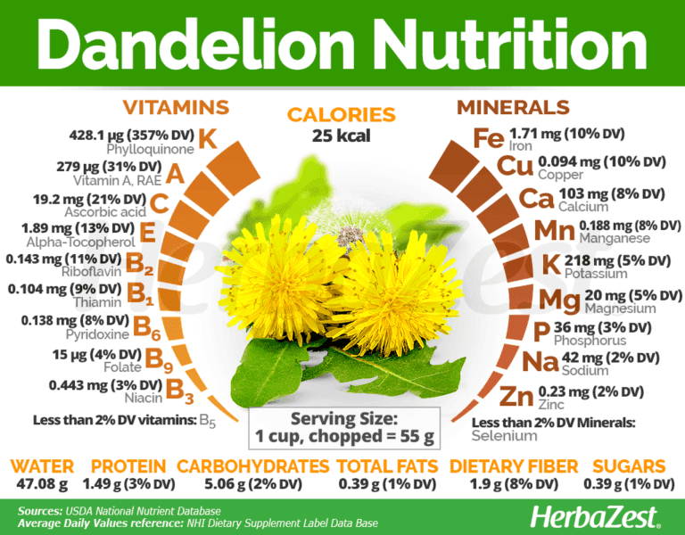 Dandelion Nutrition: A Guide to Health and Wellness