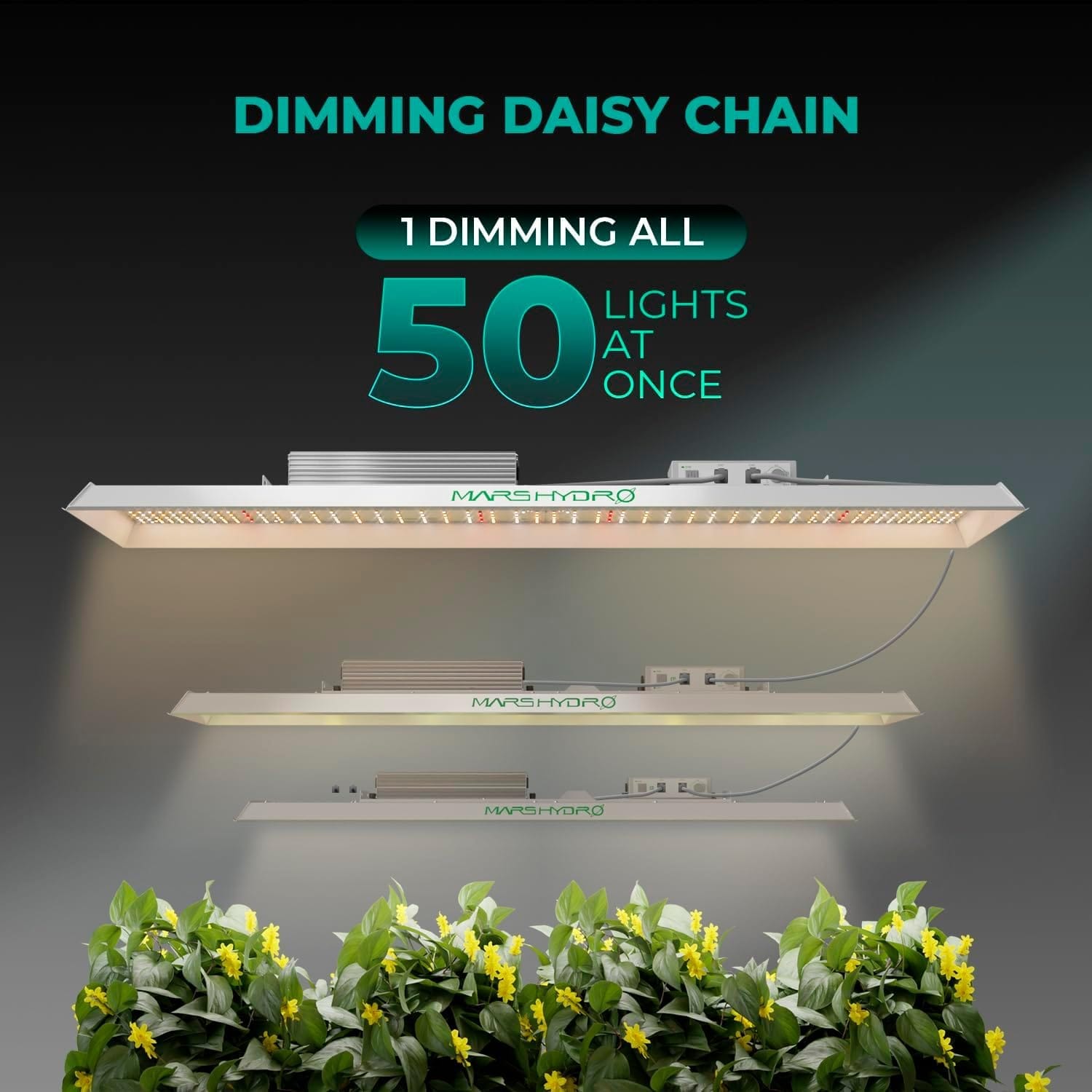 Mars Hydro TSL 2000 Review (2025): Best LED Grow Light?