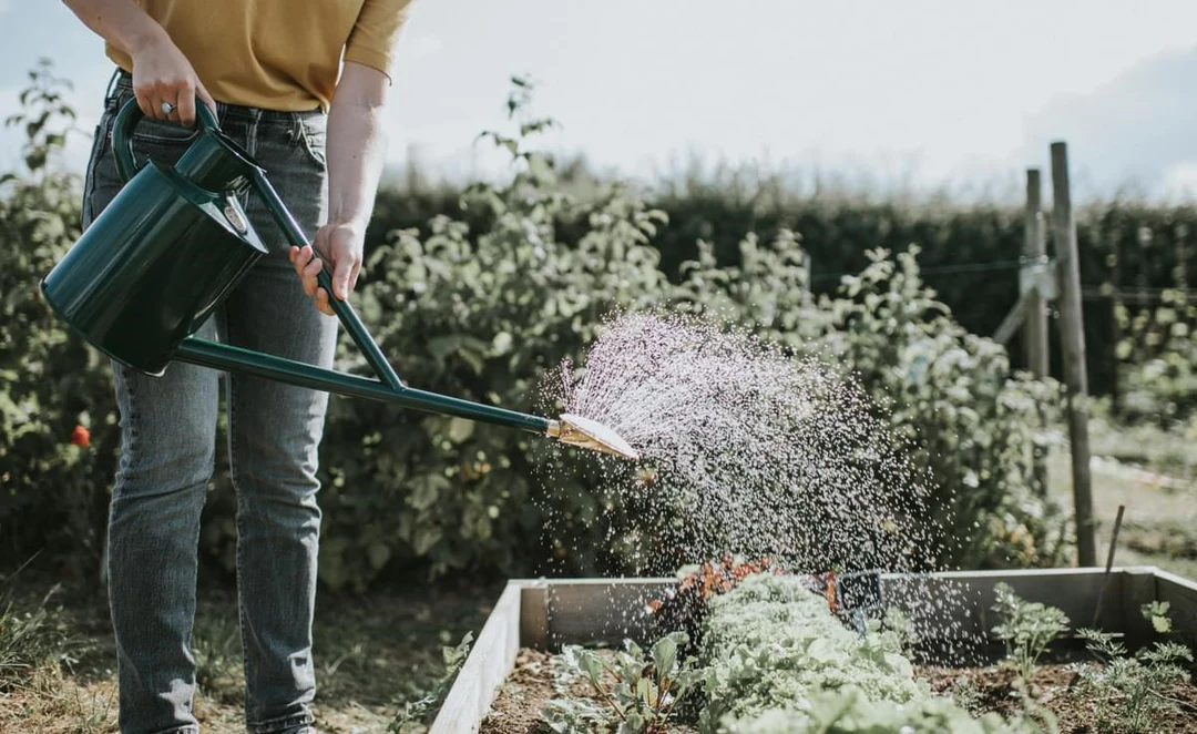 Haws Watering Can: Quality and Craftsmanship Combined