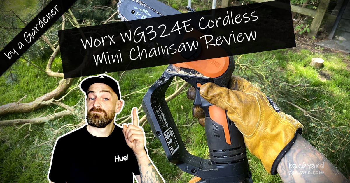 Are Worx Tools Any Good in 2026? Reviews & Comparisons