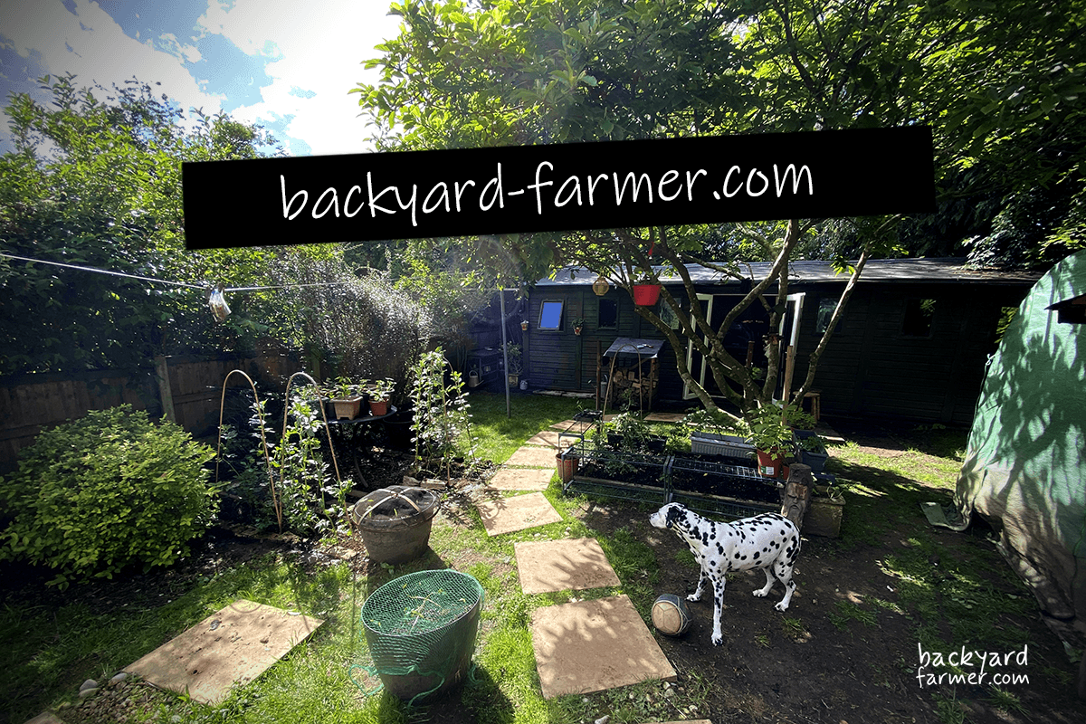 Home - The Backyard Farmer