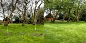 DIY Mole Windmill: Stop Moles Naturally and