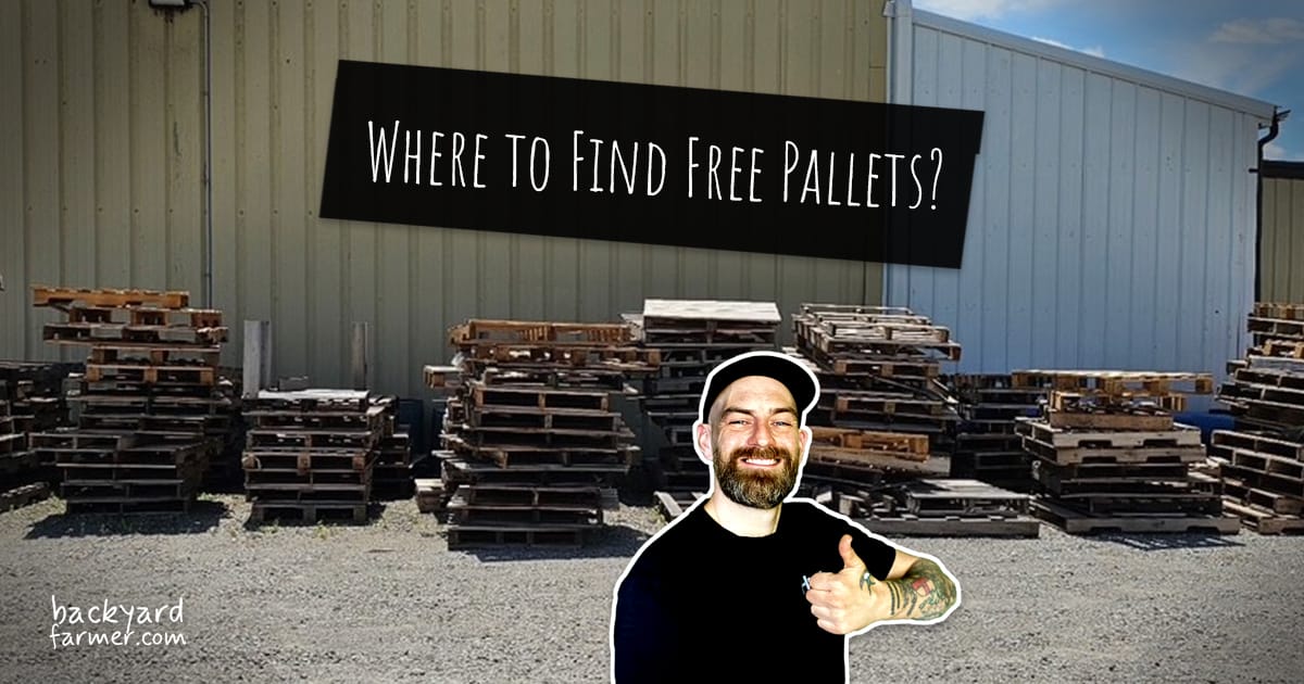 Where to Find Free Pallets Near You in the UK (B&Q & More)