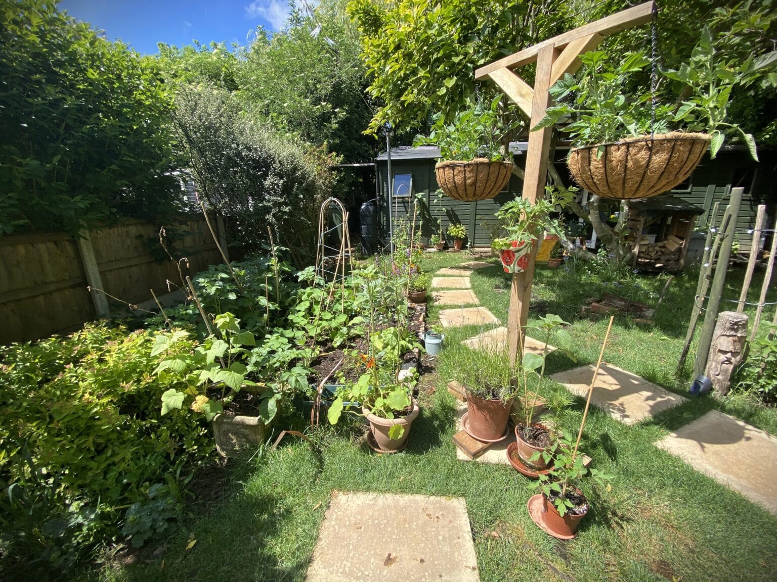 The Backyard Farmer | DIY Gardening & Sustainable Living UK