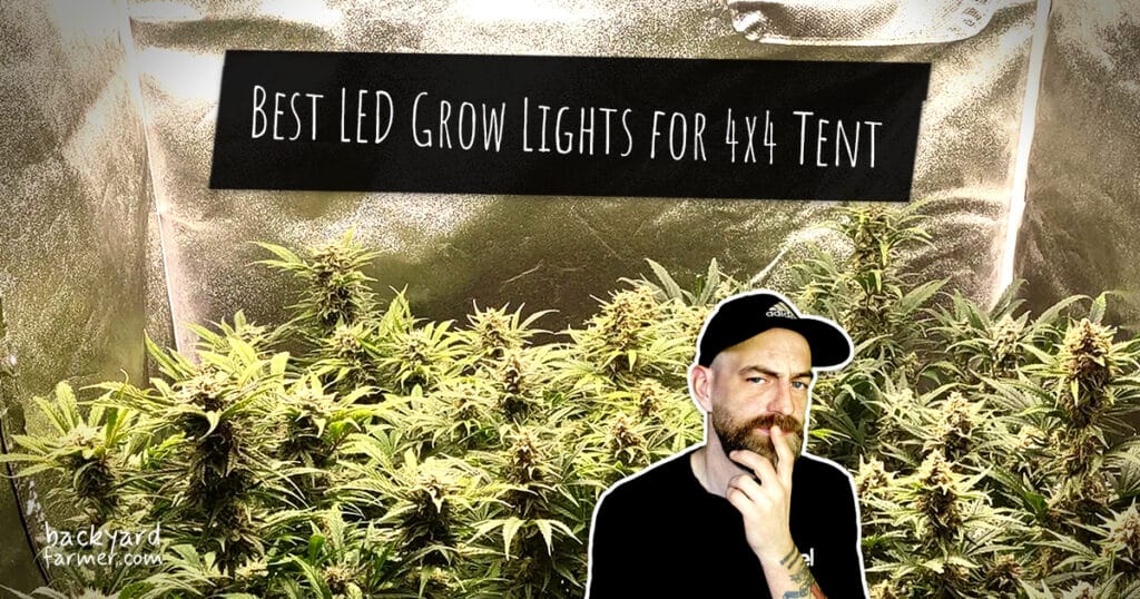 LED Grow Light Reviews (UK): Honest Reviews & Buying Guides - The ...