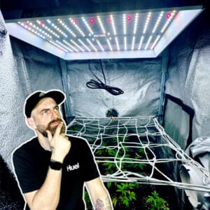 Are Mars Hydro LED Grow Lights Worth It? Full Review