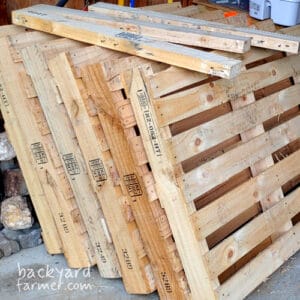 Pallet Wood Store From Scratch (Step by Step Guide)