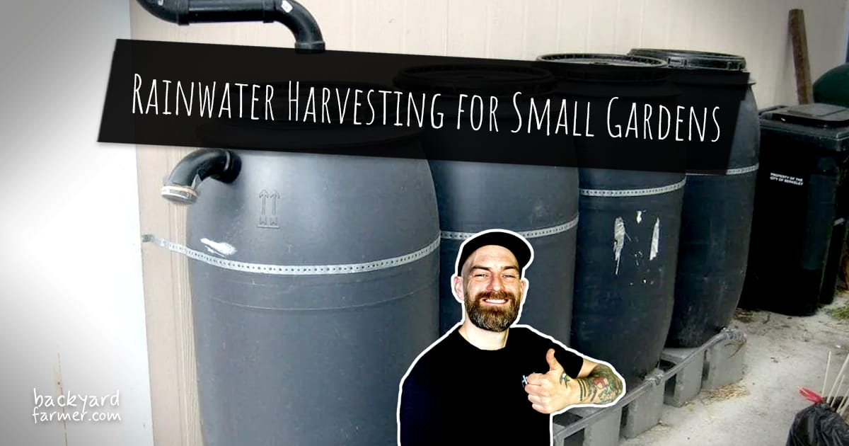 Rainwater Harvesting UK: Easy DIY Water Butt System