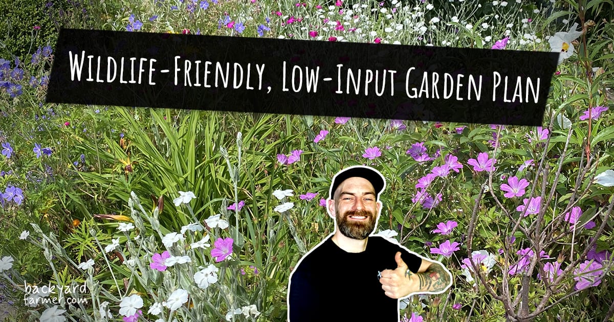 Wildlife Friendly Low Maintenance Garden UK: Planting Plan