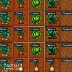 How to Plan an Allotment Layout (Free UK Planner)