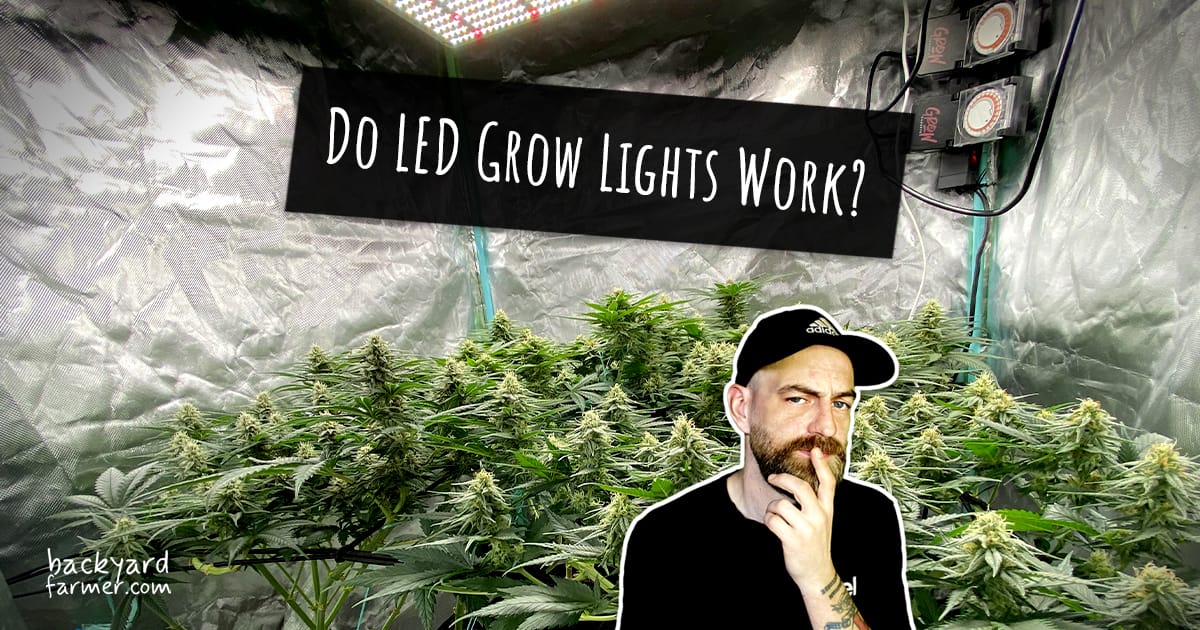 How LED Grow Lights Work: Spectrum, PAR & Efficiency Explained