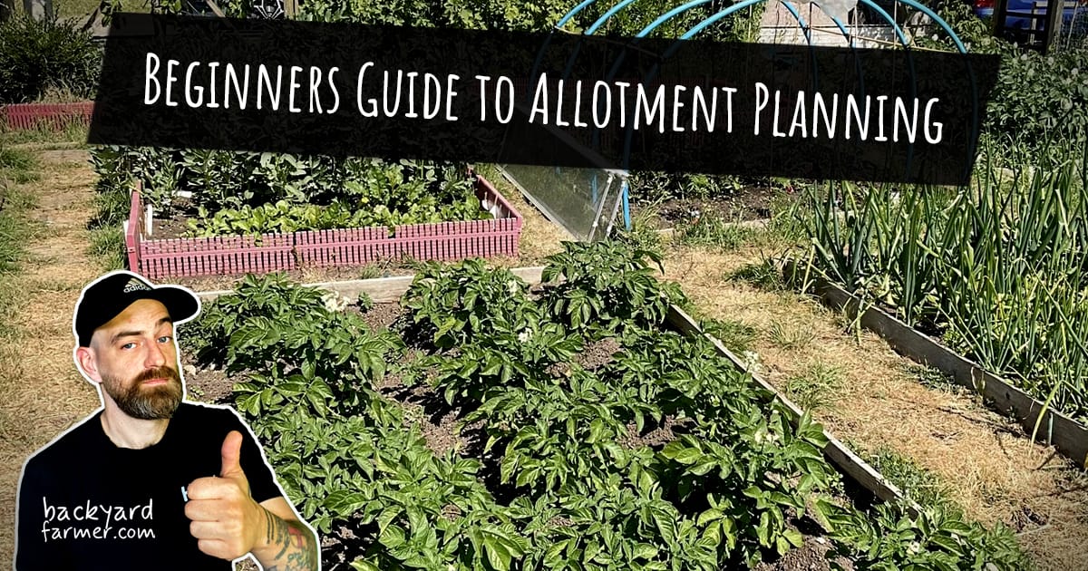 Allotment Planner Guide for UK Beginners 2026