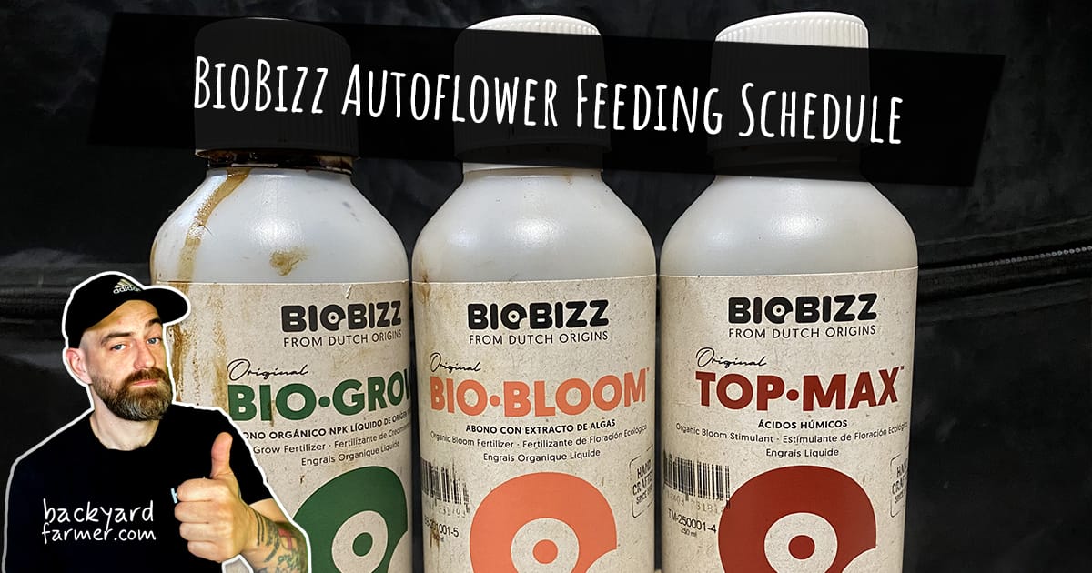 BioBizz Autoflower Feeding Schedule (Simple, Real-World Guide)