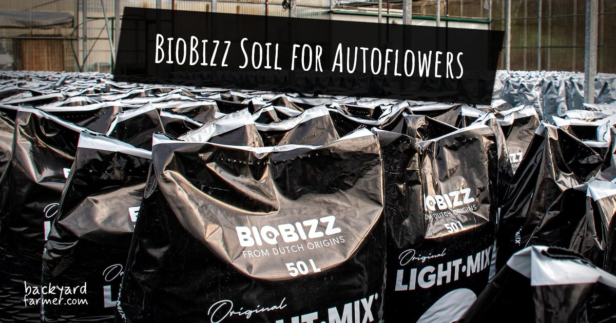 BioBizz Soil for Autoflowers: Light-Mix vs All-Mix