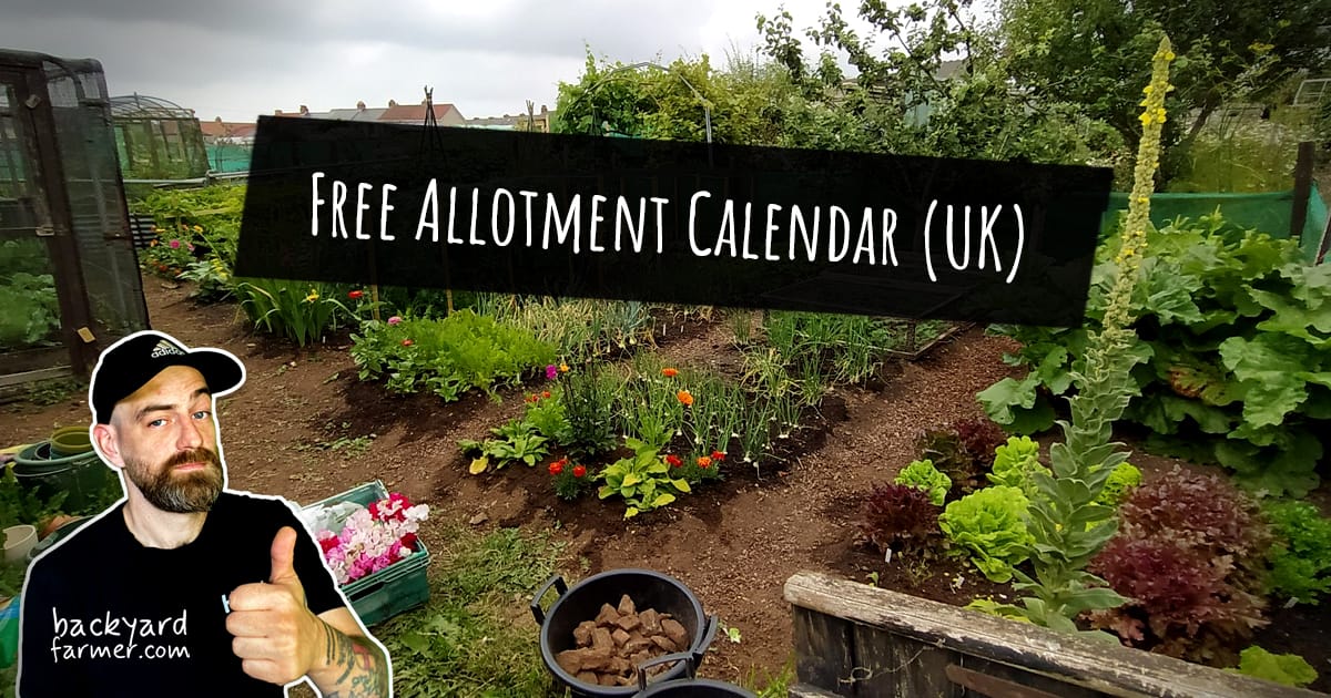 Free Allotment Calendar UK | Month-by-Month Jobs Guide