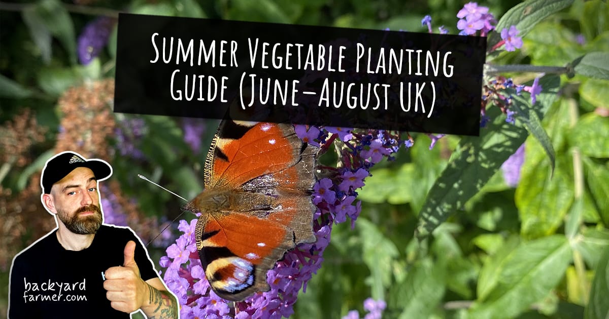 Summer Vegetable Planting Guide UK (June–August)