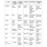 The Best Companion Planting Chart for UK Veg Growers