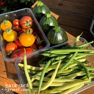 UK Harvest Calendar: What to Harvest Each Month