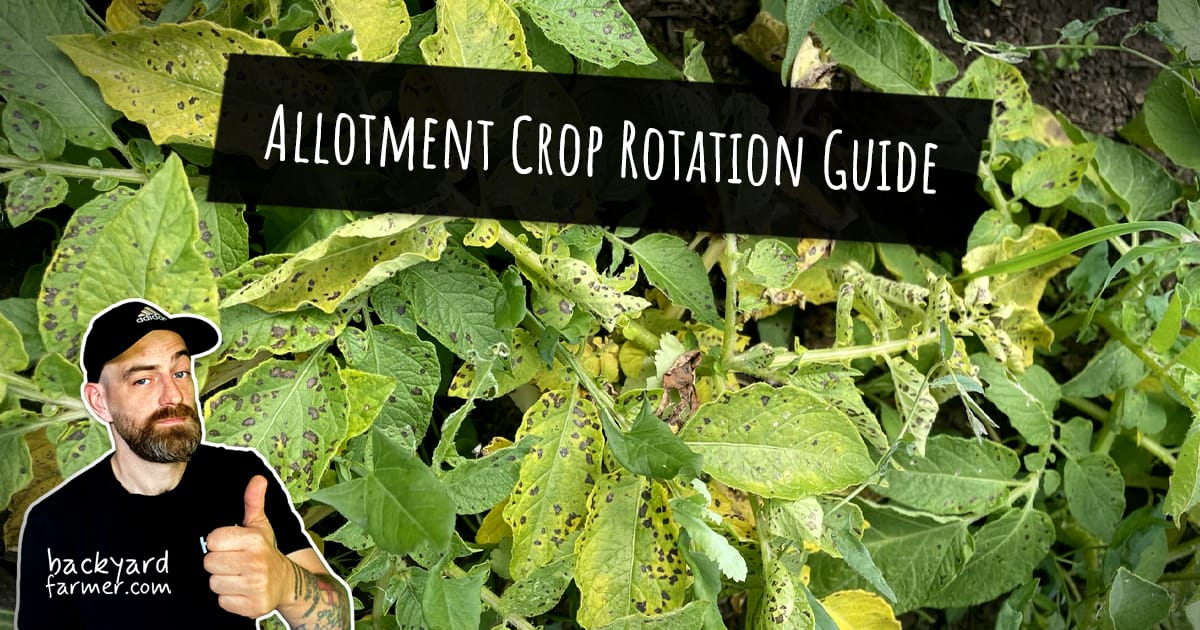 Allotment Crop Rotation Guide (UK): Simple Plan
